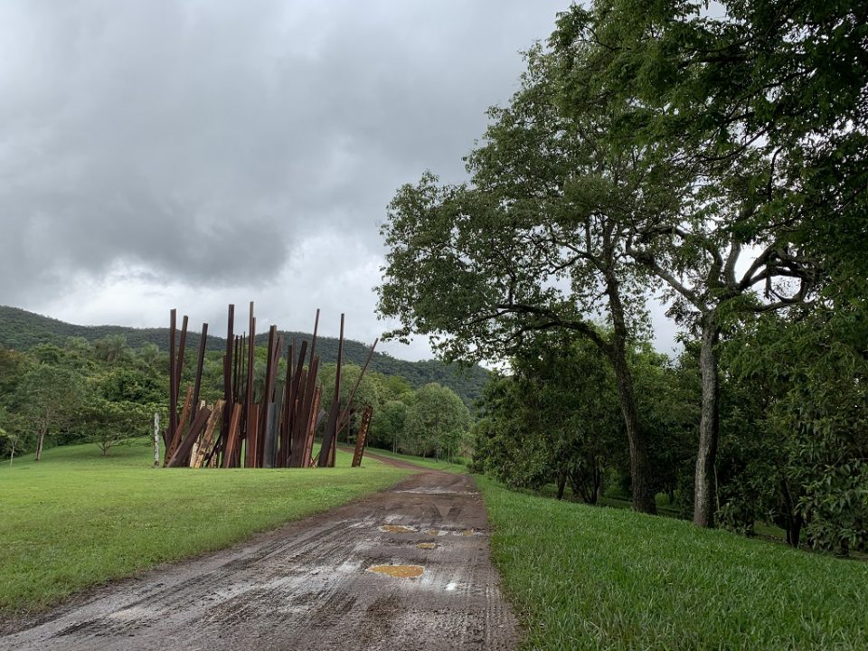Inhotim: guia completo para visitar o museu a céu aberto