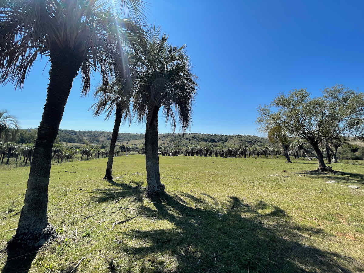 O que fazer em Quaraí (RS): cidade do Cerro do Jarau - TravelTerapia