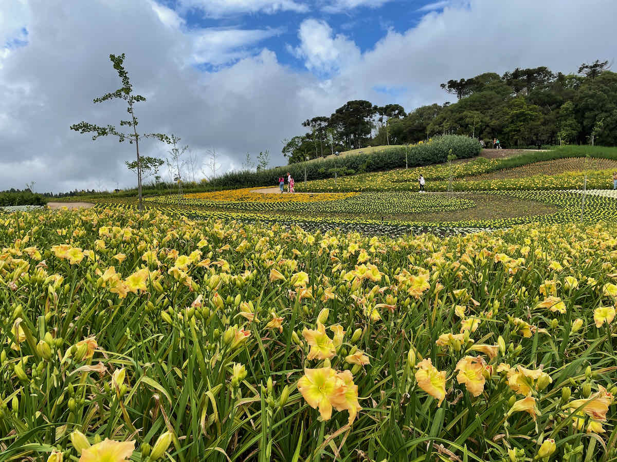 Mátria Parque de Flores: novidade perto de Gramado - TravelTerapia