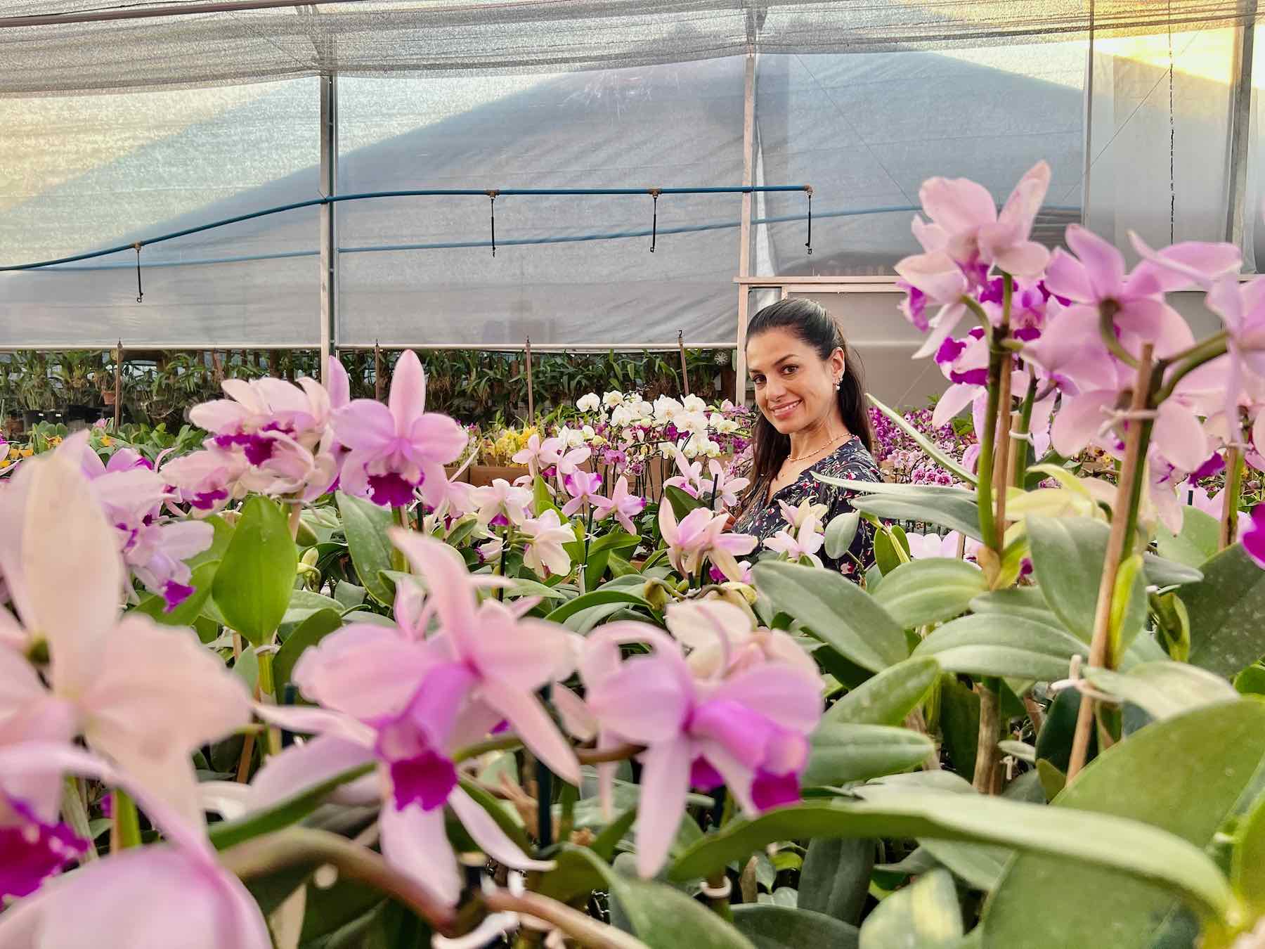 Campo Bom (RS): destino estratégico entre a Capital e a Serra Gaúcha