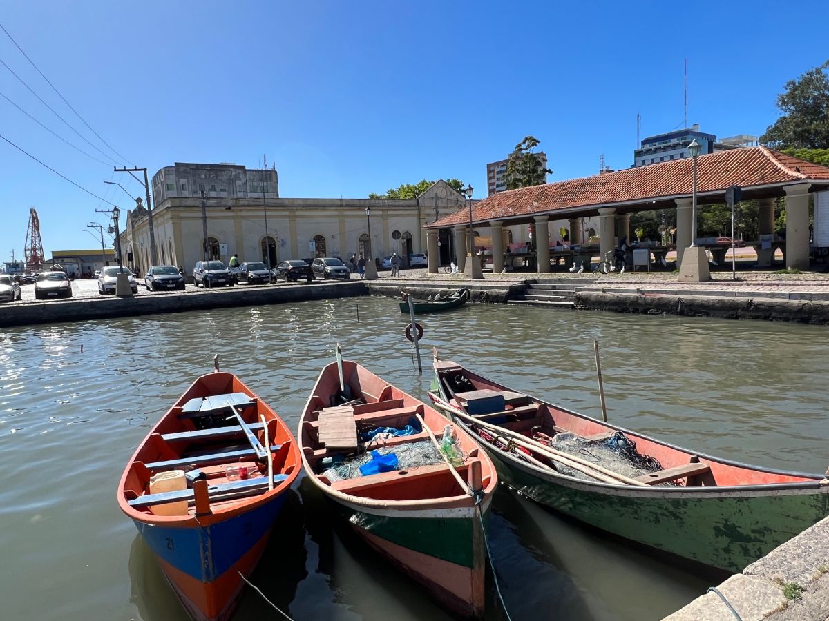 Swan Rio Grande BARCOS - TravelTerapia