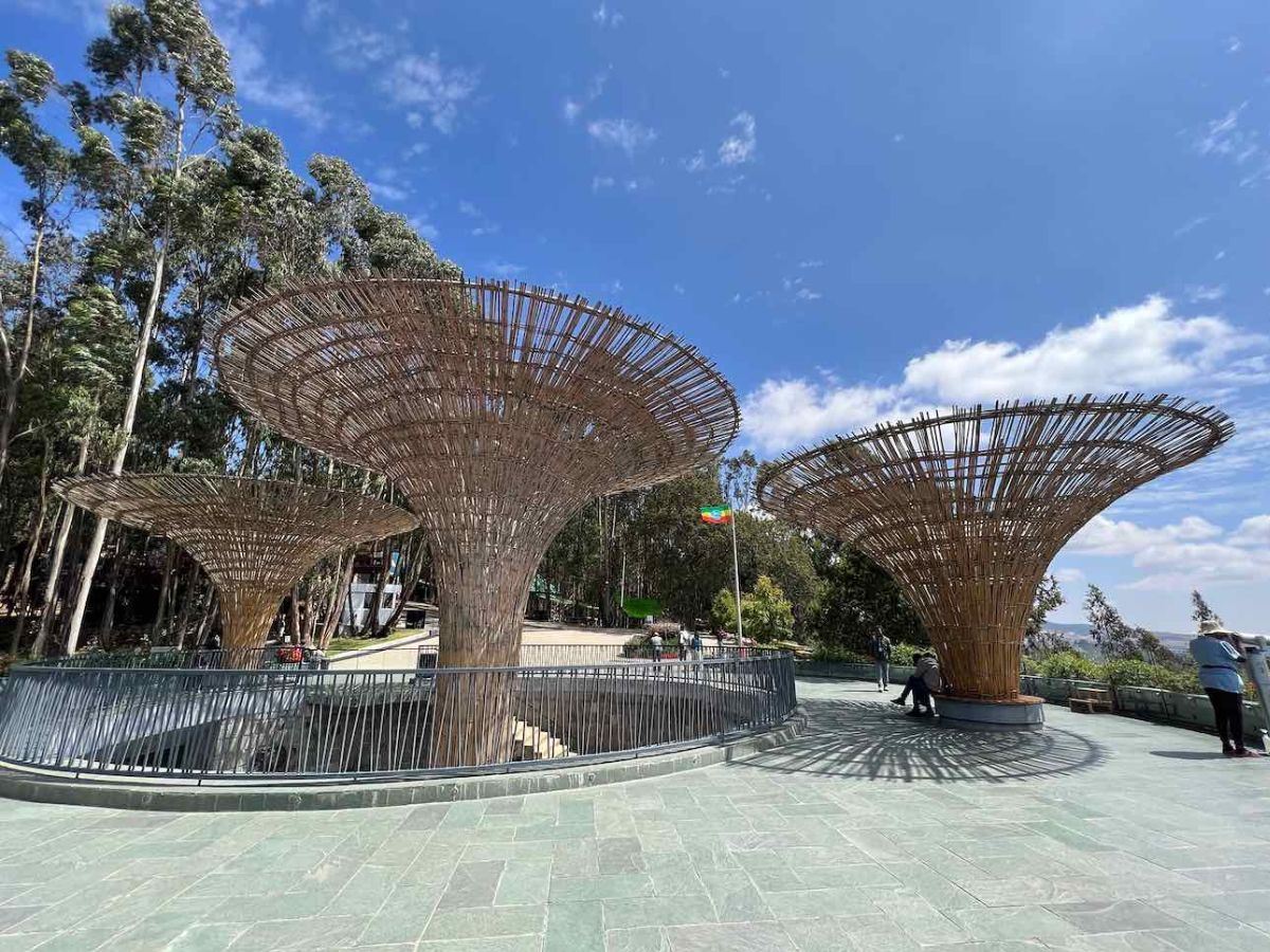 o que fazer em addis ababa entoto park . - TravelTerapia