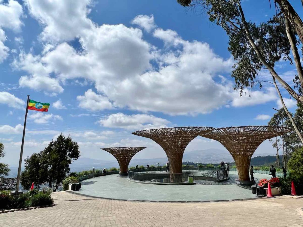 o que fazer em addis ababa entoto park 2 - TravelTerapia