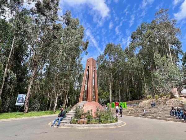 o que fazer em addis ababa entoto park - TravelTerapia