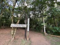 Turismo em Rolante (RS): roteiro com 3 cascatas l Travelterapia